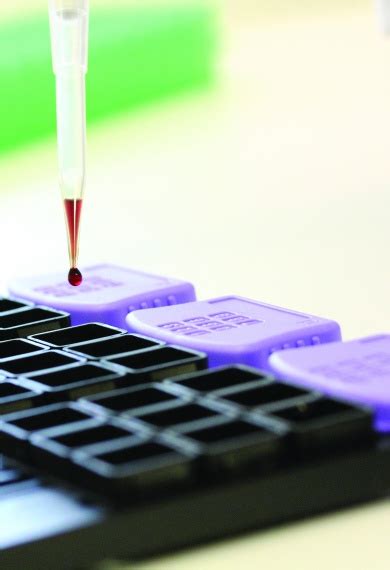 Our History A Timeline Of The Randox Laboratories Journey