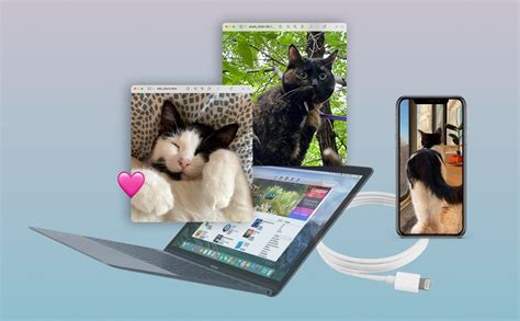 Как Перенести Фото и Видео с Компьютера на Iphone