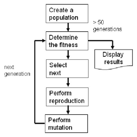 Genetic Algorithm Flow Download Scientific Diagram