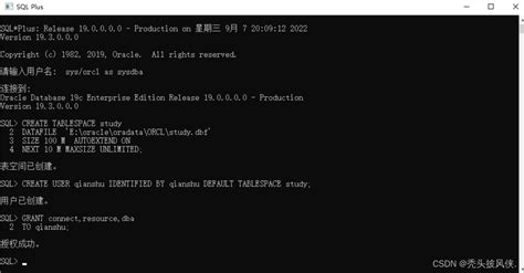 oracle19c安装，基本配置教程（超详细） csdn博客