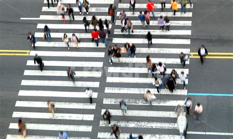 횡단보도 길 거리 길거리 보도 사진이미지일러스트캘리그라피 프리이미지작가