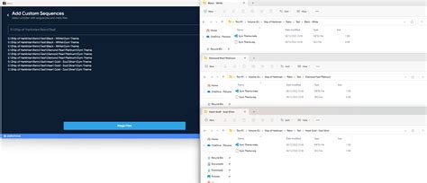 Multiple Files With The Same Name In Different Folders Break Otr
