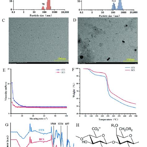 Characteristics Of The Ccs And Bcs Particles Particle Size Download Scientific Diagram