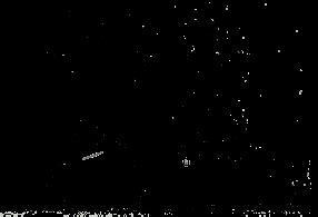 Does Having Sex Before Fights Mess You Up The Caveman DNA