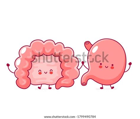 Cute Happy Funny Human Intestine Stomach Stock Vector Royalty Free