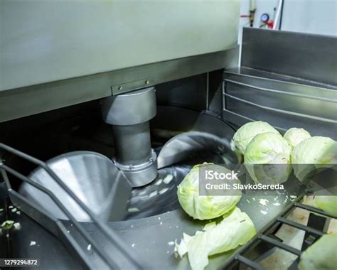 식품의 산업 생산 소금에 절인 양배추 또는 발효 양배추의 생산 자동 Cob 제거 야채 슬라이스 커터 회전 드럼 믹서 0명에 대한 스톡 사진 및 기타 이미지 Istock
