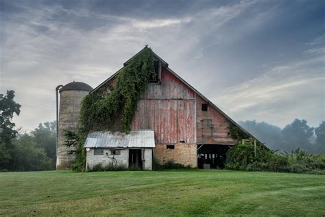 집 밖의 고요한 그림 같은 나무 헛간 녹지 농업 농지 농촌의 담쟁이덩굴 덩굴 랜드마크 목가적인 무성한 문화 유산 미국 농장 버려진 헛간 붉은