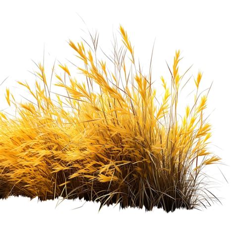 Premium Ai Image Japanese Forest Grass Goldenyellow Foliage Leafy Grass Adds Isolated On White