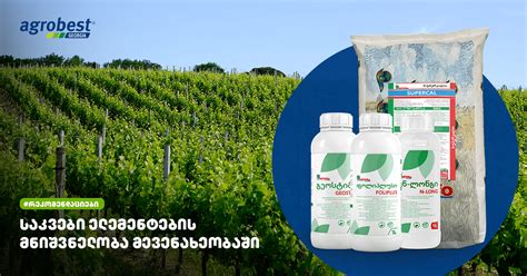 აგრობესტ ჯორჯია