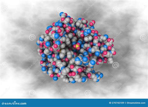 Human Carbonic Anhydrase Ii In Complex With Bicarbonate Space Filling Molecular Model 3d