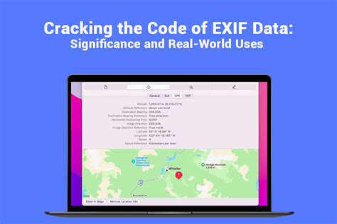 Cracking The Code Of Exif Data Significance And Real World Use