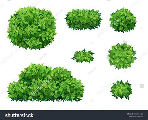 Shrubs Vector Over 50902 Royalty Free Licensable Stock Vectors