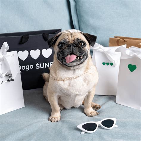 „instagram“ Tinkle Nauja žvaigždė šunybes Krečia Mopsė Bulvė Iki Arčiau Tavęs