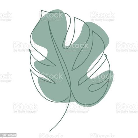 식물 몬스터 한 줄 드로잉의 잎 연속 선 스타일의 벡터 그림입니다 흰색 배경에 고립 된 열대 야자수 잎 자연 디자인 요소 몬스타 실루엣 0명에 대한 스톡 벡터 아트 및 기타