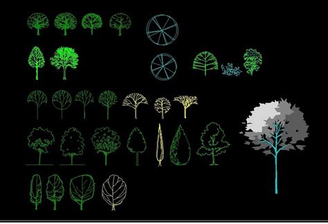 Trees Palm Trees Shrubs Front View Elevation And Top View