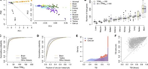 Tissue Specificity Of Circrna Expression A Pca Of Circrna