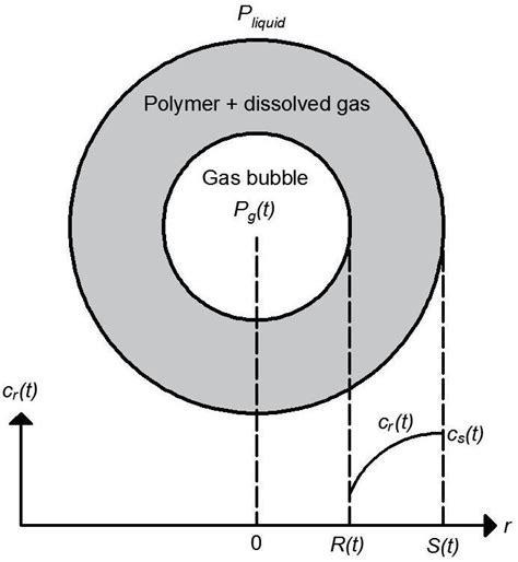 Schematic Diagram Of A Single Bubble Growth Model [3] Download Scientific Diagram