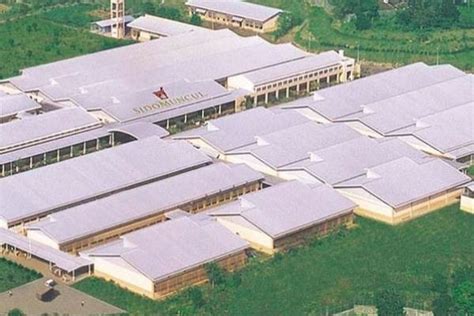 Sido Muncul Sido Kejar Pertumbuhan Dua Digit