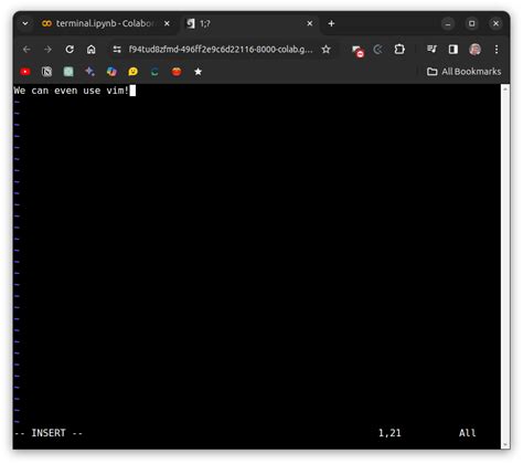 Run A Terminal In Google Colab On The Free Tier Aswin Van Woudenberg