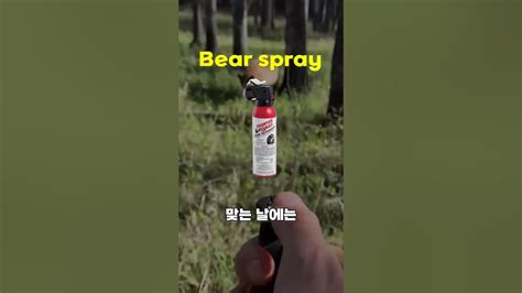 연어 낚시하다가 곰 만나면 어떡해요 Youtube