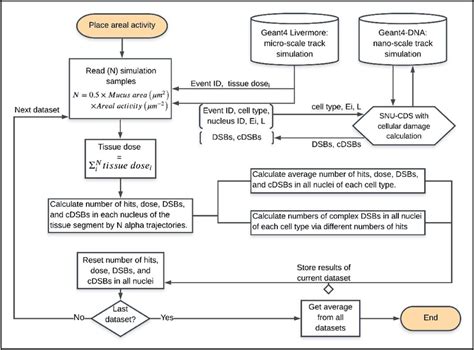 Flowchart Of The C Code Which Integrates The Nanometer Scaled