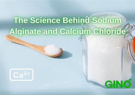 The Ultimate Guide To Sodium Alginate Beads Gino Gums