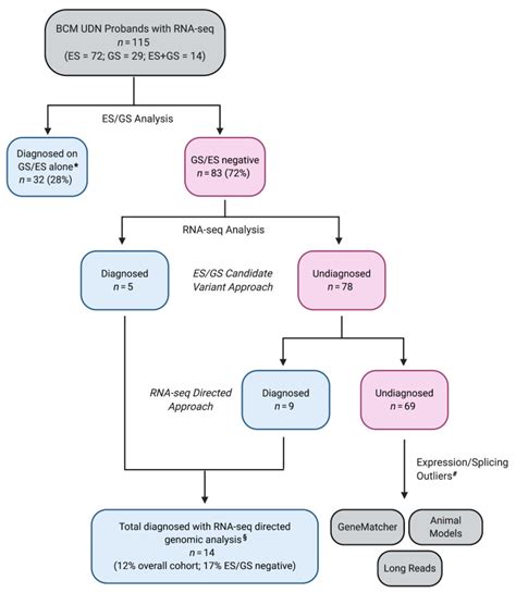Transcriptome Directed Analysis For Mendelian Disease Diagnosis