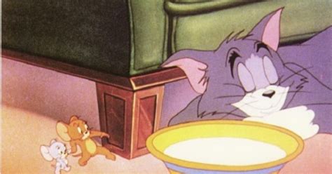 못된 쥐 불쌍한 고양이 톰과 제리 Sbs 방영