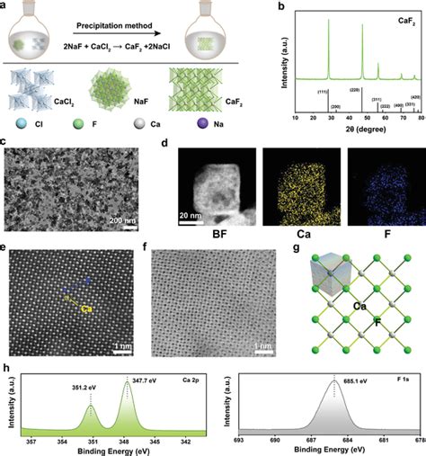 Synthesis And Characterization Of Caf2 Nanozyme A Schematic