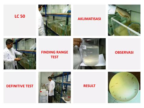 Toxicity Analysis Ld50 Lc50 Chronic Toxic Pptx