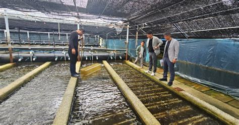 전남 바다 수온 상승하면서 어패류 폐사 우려…고수온주의보 발령