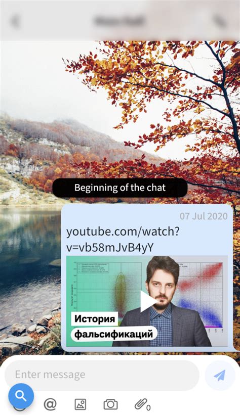 InAppWebview Causes Chewie Video Controls To Blur Out Issue Pichillilorenzo Flutter