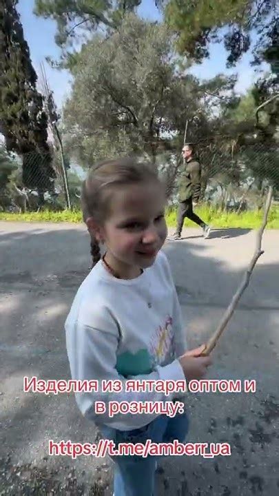 Про койотов Youtube