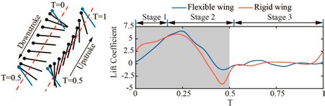 A Simulation Method For Fluidsolid Coupling In The Flexible Wings Of Mavs Based On The Lbm