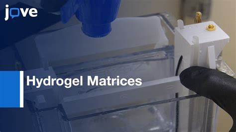 Gel Seq Method For Simultaneous Sequencing Library Preparation Of DNA RNA L Protocol Preview