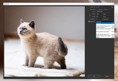 how to use image interpolation in photoshop for flawless image resizing