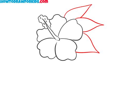 How To Draw A Hibiscus Flower Step By Easy Best Flower Site
