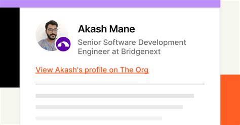 Akash Mane Senior Software Development Engineer At Bridgenext The Org