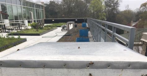 Lindas Bees More Spark Errors