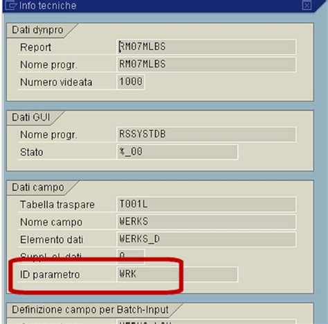 tip of the day sap user parameters