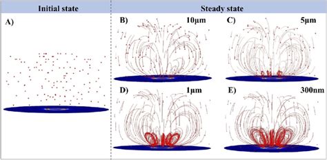 Simulation Results For Particle Enrichment 1 Mw Power A Randomly