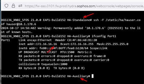 V21 Ha Active Passive Aux Node Fails System Startup Failed Fault