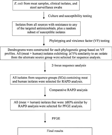 Flow Diagram Of The Laboratory Processing Including The Logic Used To Download Scientific