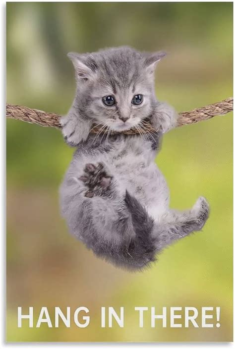Hang In There Cat Meme Pin On Garfield