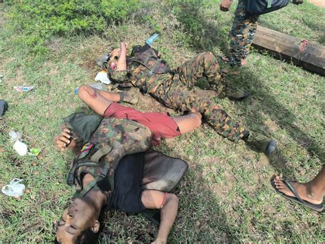 ကိုင်းတောမရွာကိုဝင်လာတဲ့ စစ်ကောင်စီစစ်ကြောင်း တိုက်ခိုက်ခံရလို့ ၁၂ ဦးသေ၊ ၅ ဦးအရှင်ဖမ်းမိ