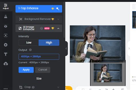 Methods To Conver Low Resolution Image To High Resolution Online