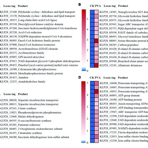 Transcriptomic Analysis Of Essential Metabolic Pathways For Energy