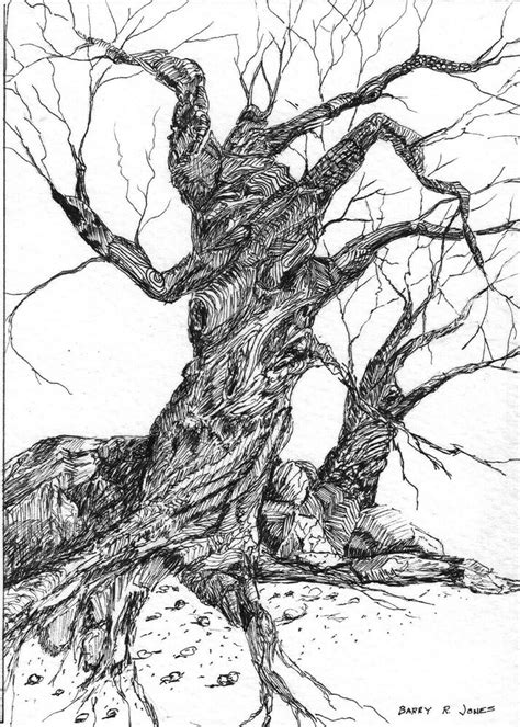 Tree Ink Drawing At PaintingValley Com Explore Collection Of Tree Ink Drawing