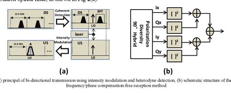Figure 1 From Coherent Ofdm Pon Using Intensity Modulation And Heterodyne Detection Semantic