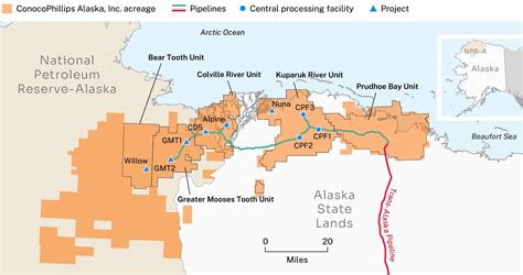 New Conservation Program On Alaskas North Slope To Offset Willow